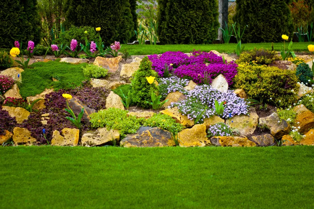 Sziklakertek - Támfalak | Nóra Kertészet