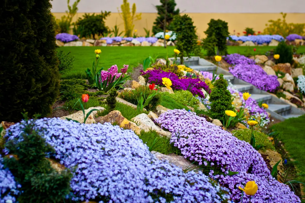 Sziklakertek - Támfalak | Nóra Kertészet